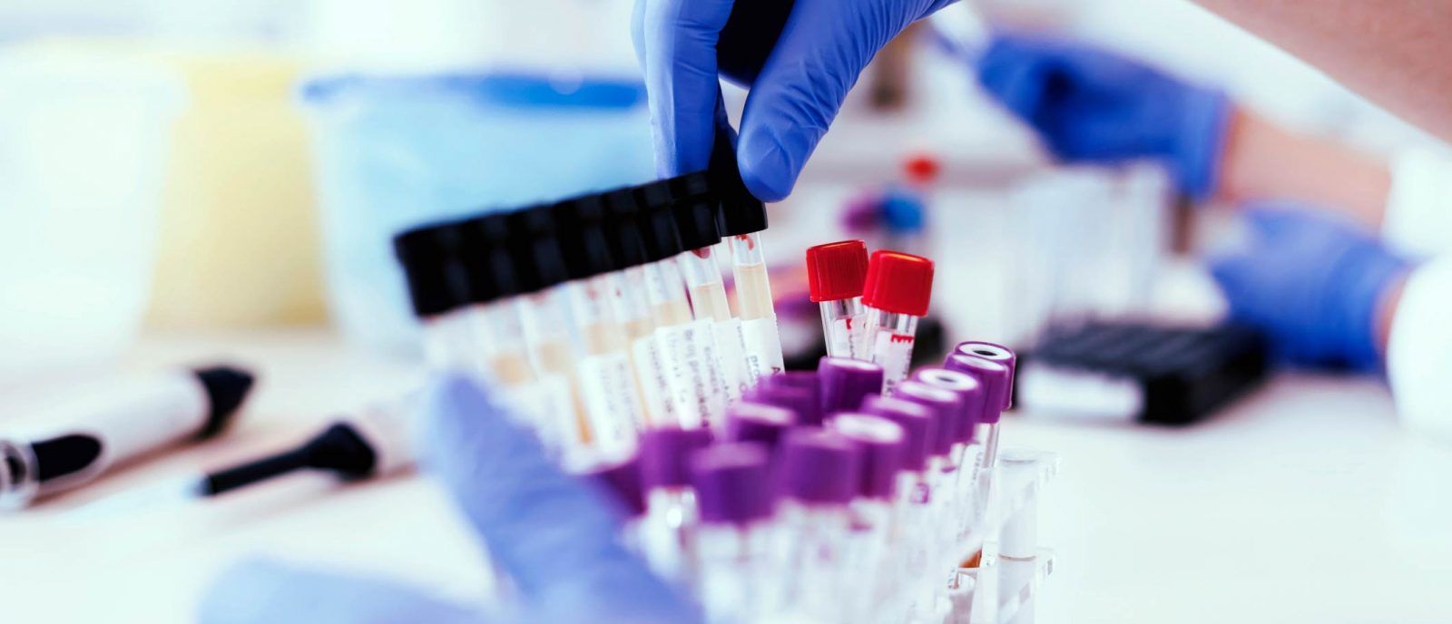 Drug Testing Information - Northern Industrial Training, LLC